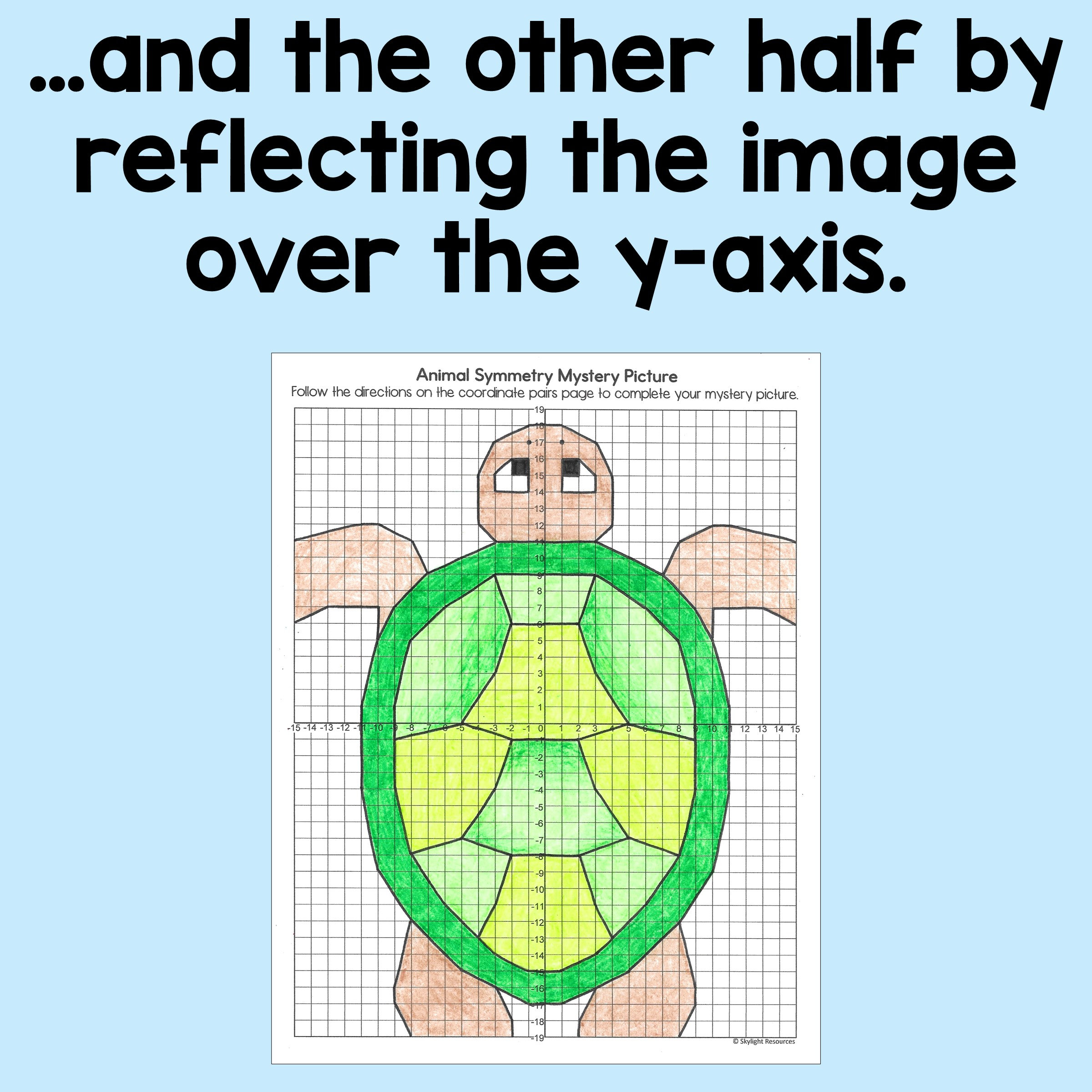 Animal Coordinate Plane Graphing Pictures | Symmetry Activity in Four ...