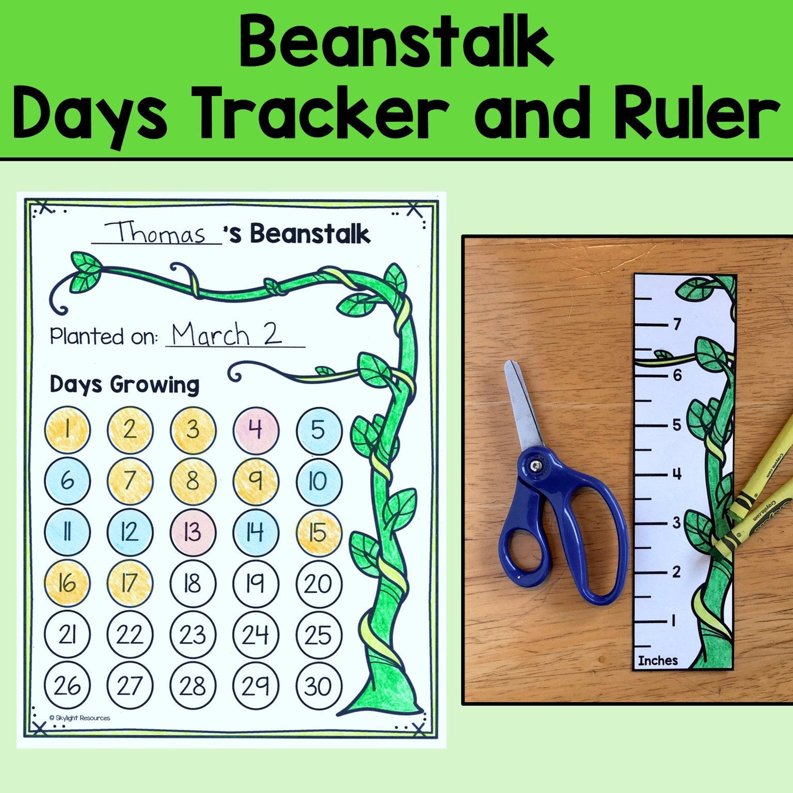 Jack and the Beanstalk Bean Growing Sprout House and Journal Activities ...