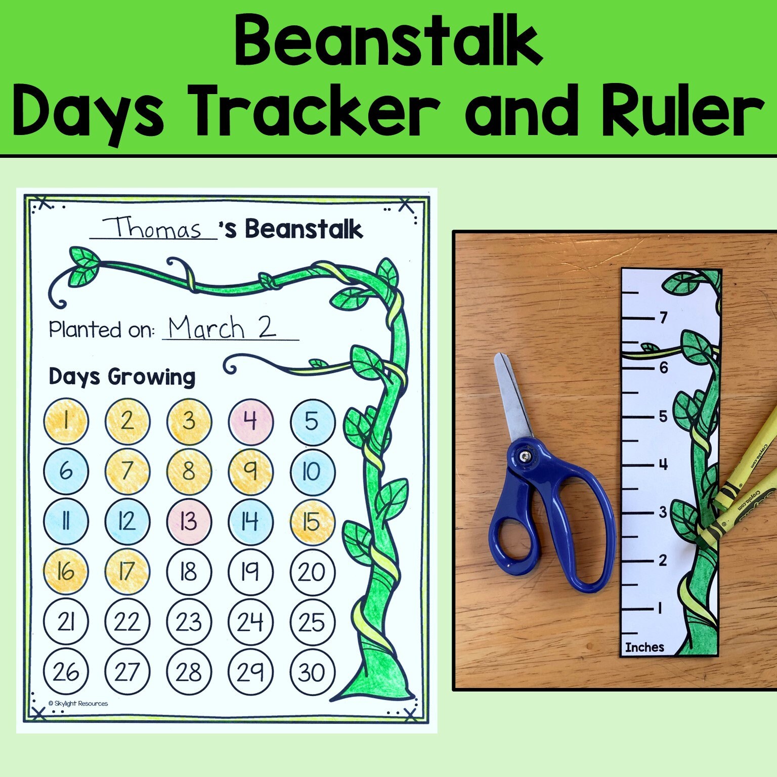 Jack and the Beanstalk Bean Growing Sprout House and Journal Activities for Classroom or Home - Etsy