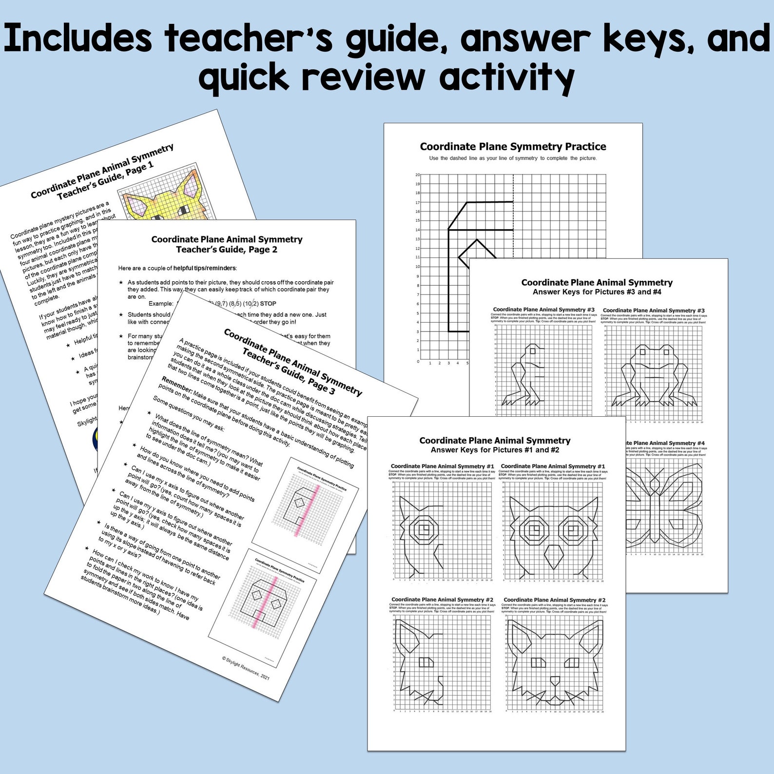 Animal Symmetry Coordinate Plane Mystery Picture Math Graphing Activity ...