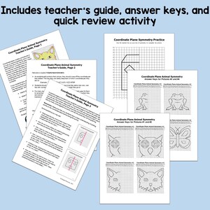 Animal Symmetry Coordinate Plane Mystery Picture Math Graphing Activity ...