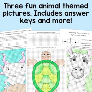 Animal Coordinate Plane Graphing Pictures | Symmetry Activity in Four ...