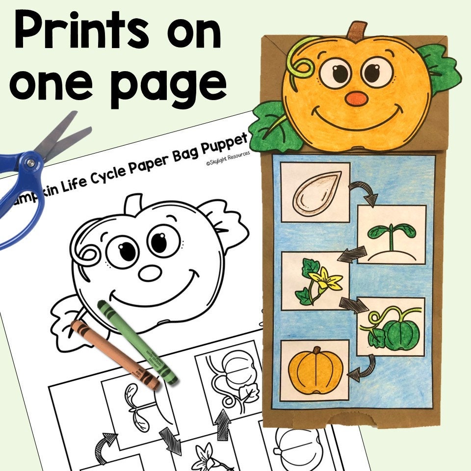Life Cycle of a Pumpkin Paper Bag Puppet Science Craft Activity for ...