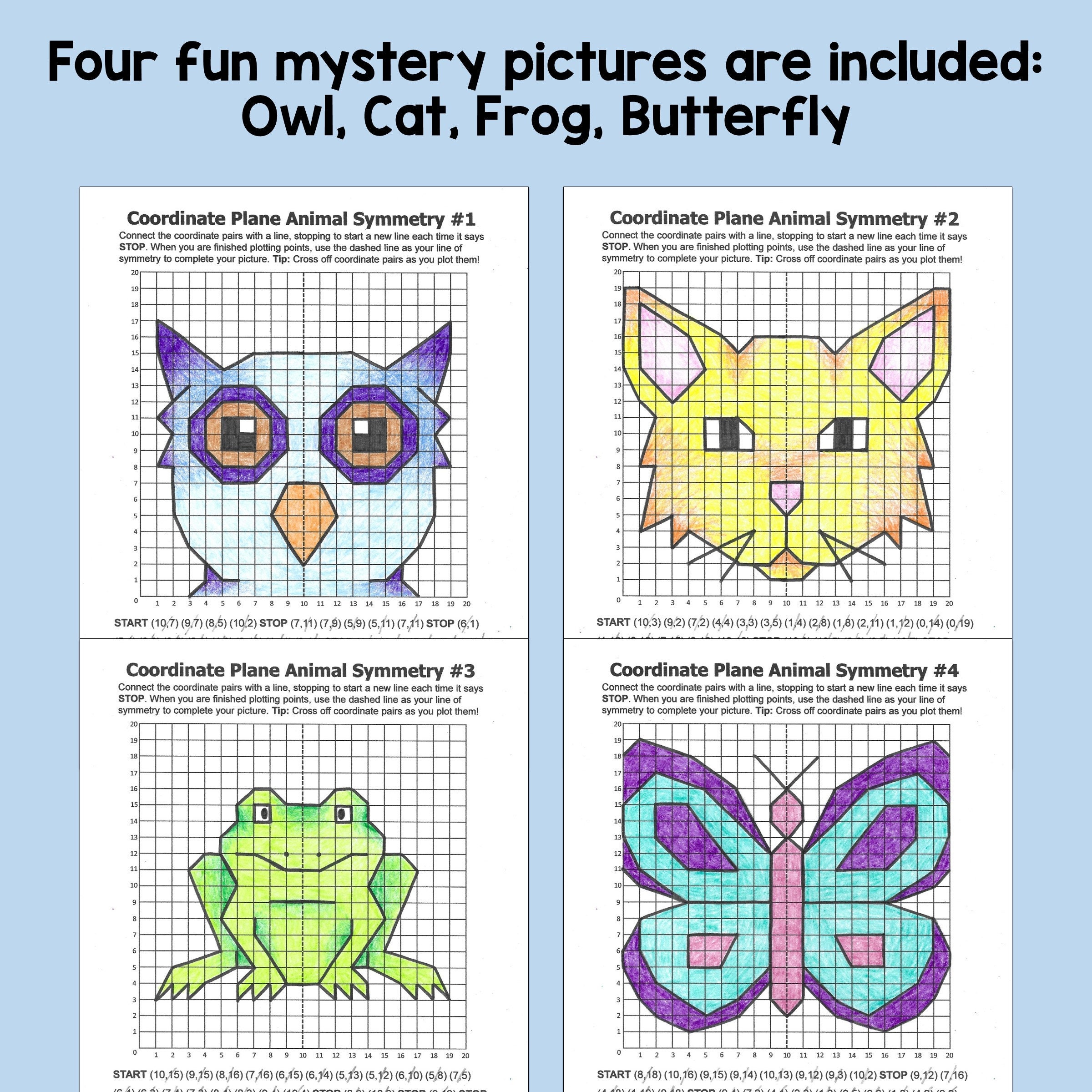 Animal Symmetry Coordinate Plane Mystery Picture Math Graphing Activity ...
