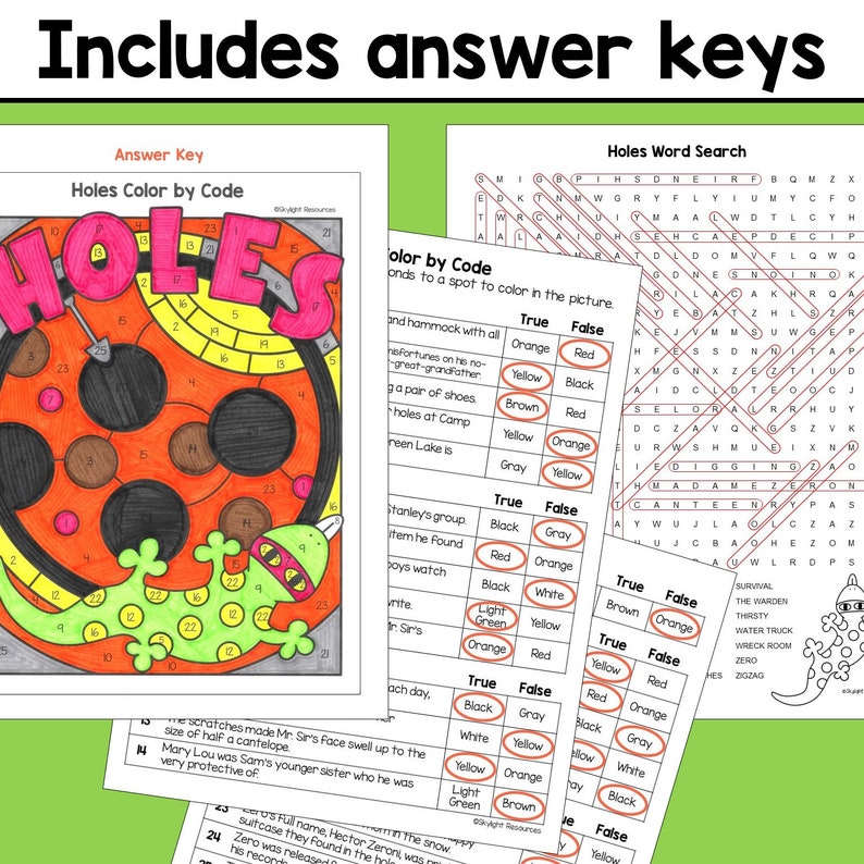 Holes Word Search and Color by Number Novel Reading Questions, Fun ...