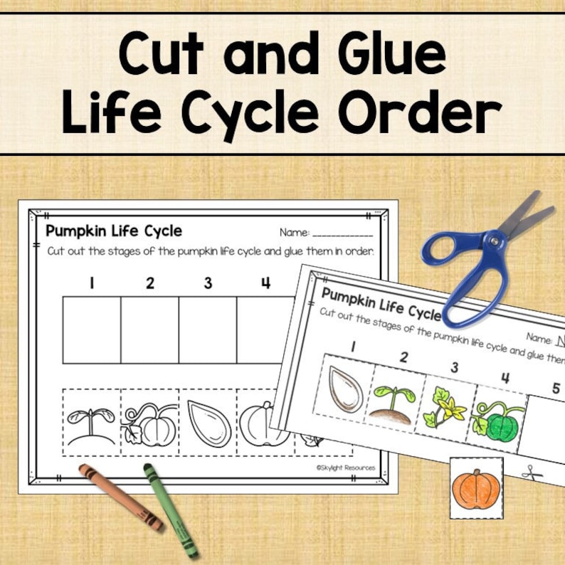 Life Cycle of a Pumpkin Coloring Worksheets Fun Printable Science ...