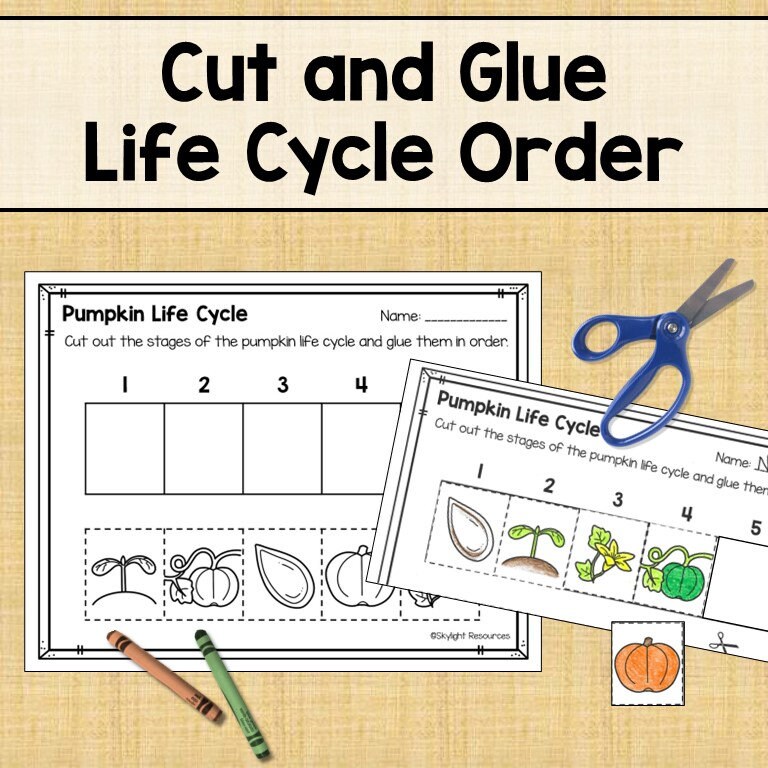 Life Cycle of a Pumpkin Coloring Worksheets Fun Printable Science ...