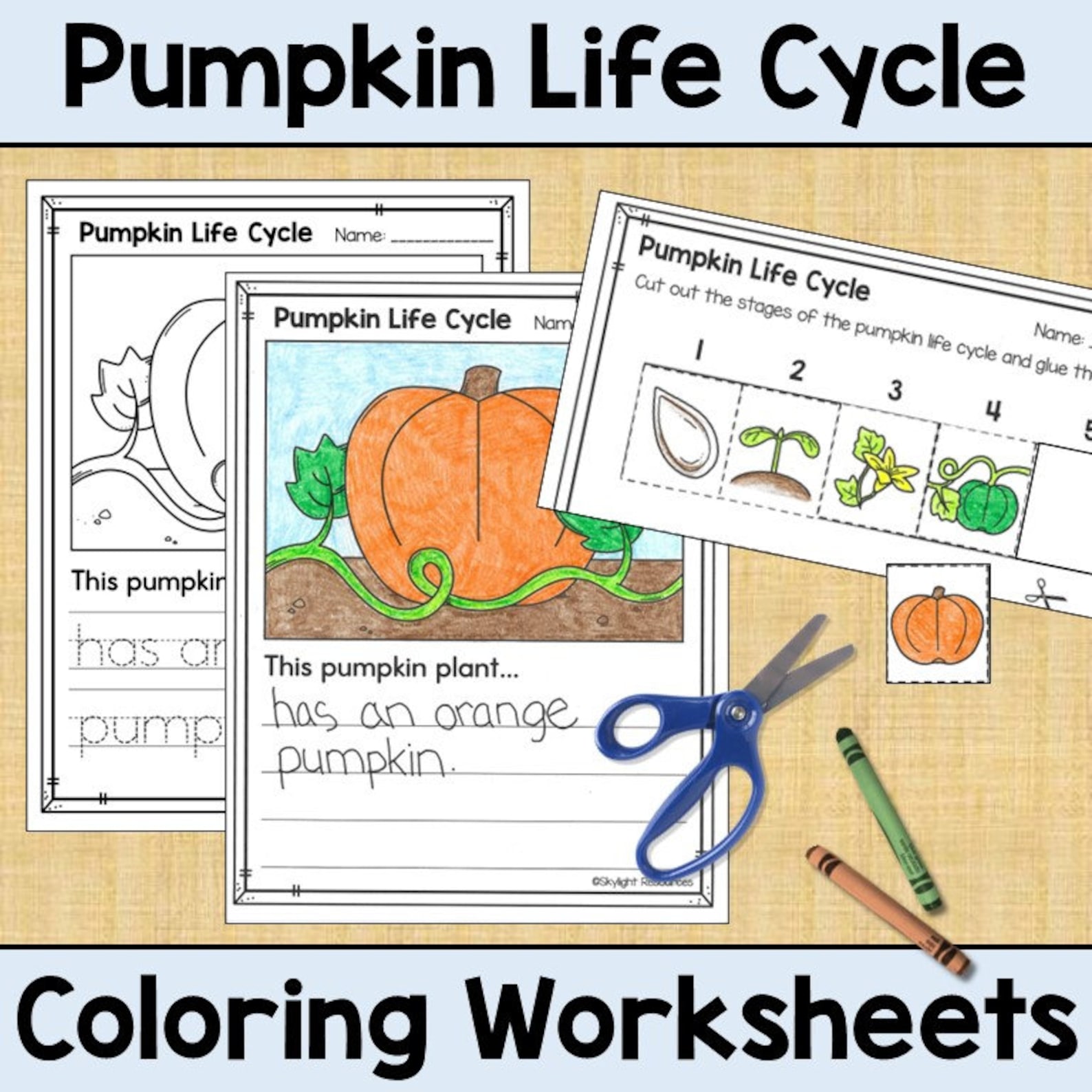 Life Cycle of a Pumpkin Coloring Worksheets Fun Printable Science ...