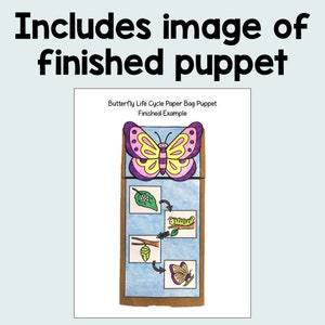Life Cycle of a Butterfly Paper Bag Puppet | Science Craft Activity for ...