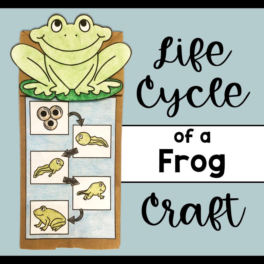 Life Cycle of a Frog Paper Bag Puppet | Science Craft Activity for Kids ...