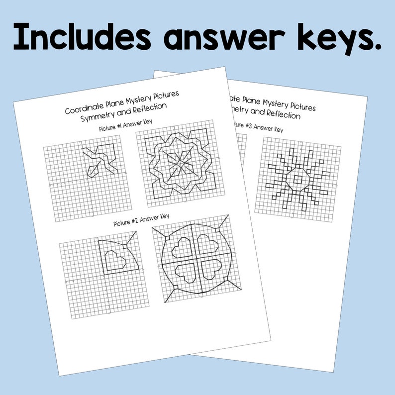 Coordinate Plane Symmetry and Reflection Mystery Picture Math Graphing ...