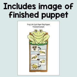 Life Cycle of a Frog Paper Bag Puppet | Science Craft Activity for Kids ...