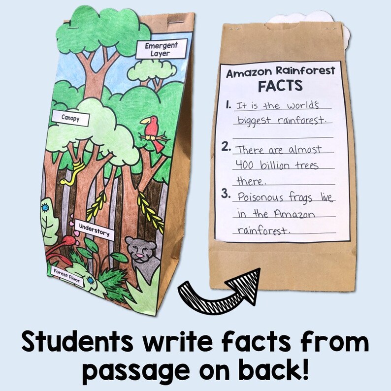 Amazon Rainforest Paper Bag Craft Activity for Kids - Etsy