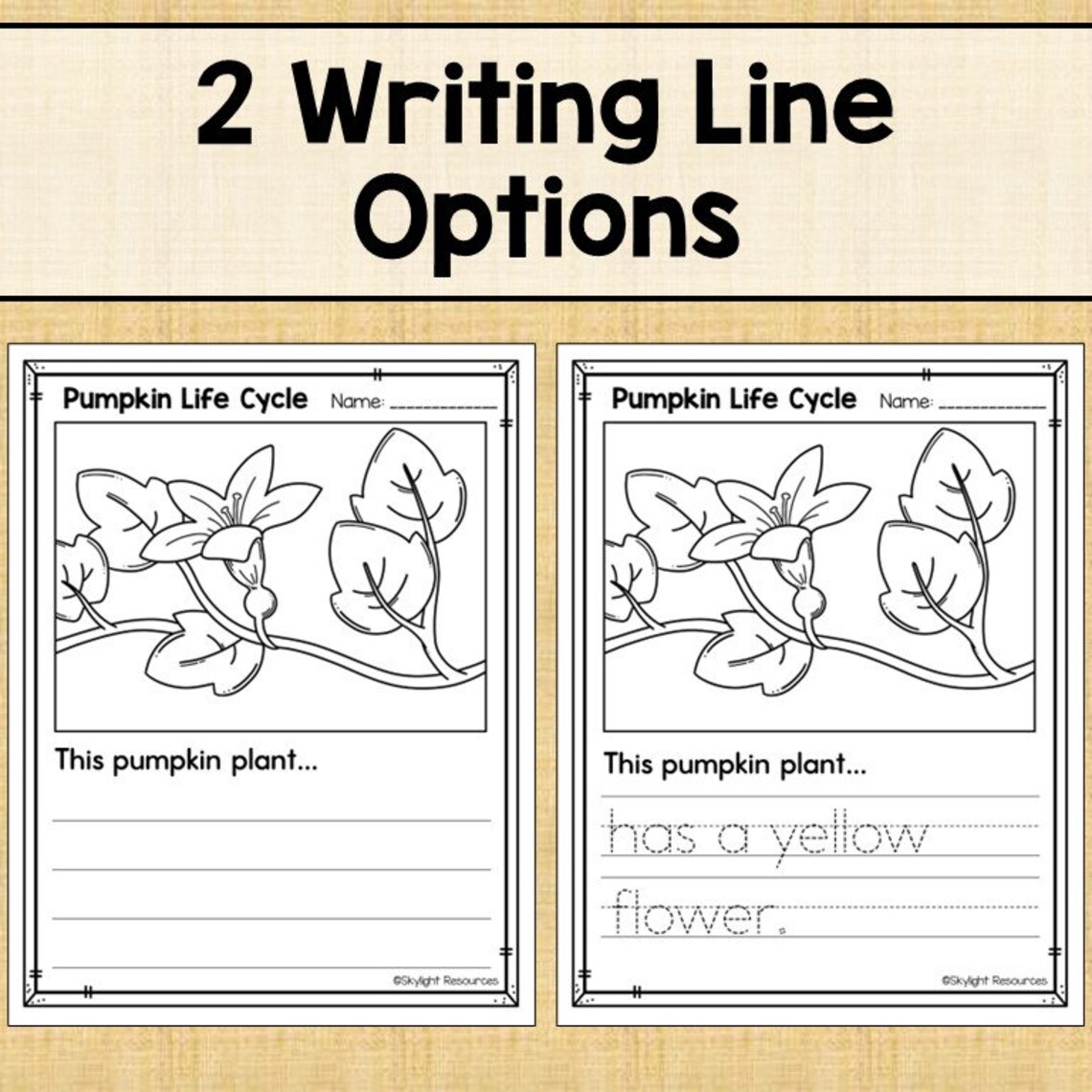 Life Cycle of a Pumpkin Coloring Worksheets Fun Printable Science ...