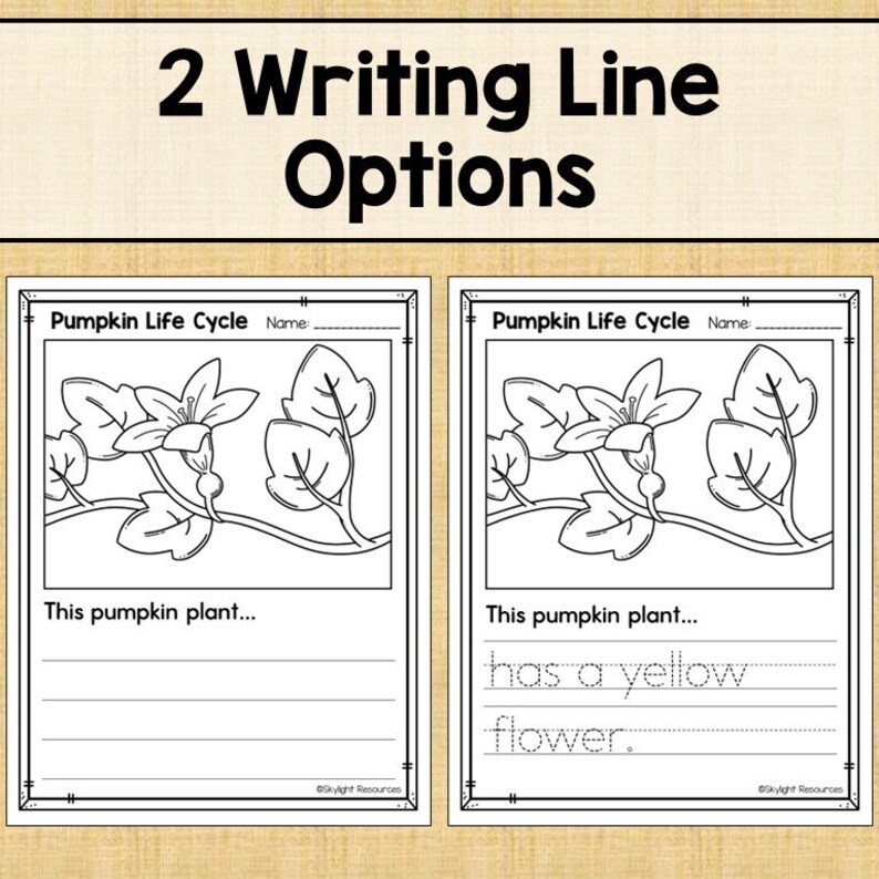 Life Cycle of a Pumpkin Coloring Worksheets Fun Printable Science ...