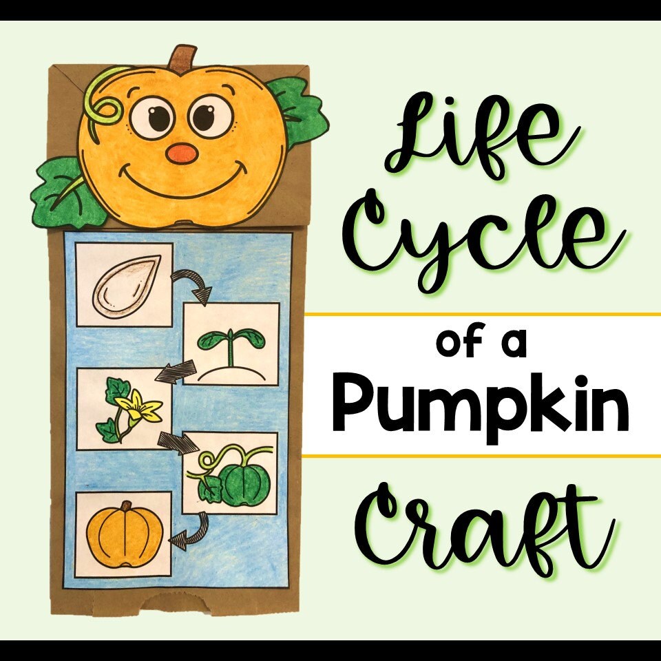 Life Cycle of a Pumpkin Paper Bag Puppet Science Craft Activity for ...