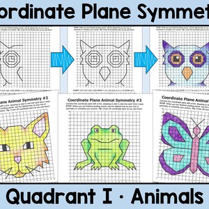 Animal Symmetry Coordinate Plane Mystery Picture Math Graphing Activity ...