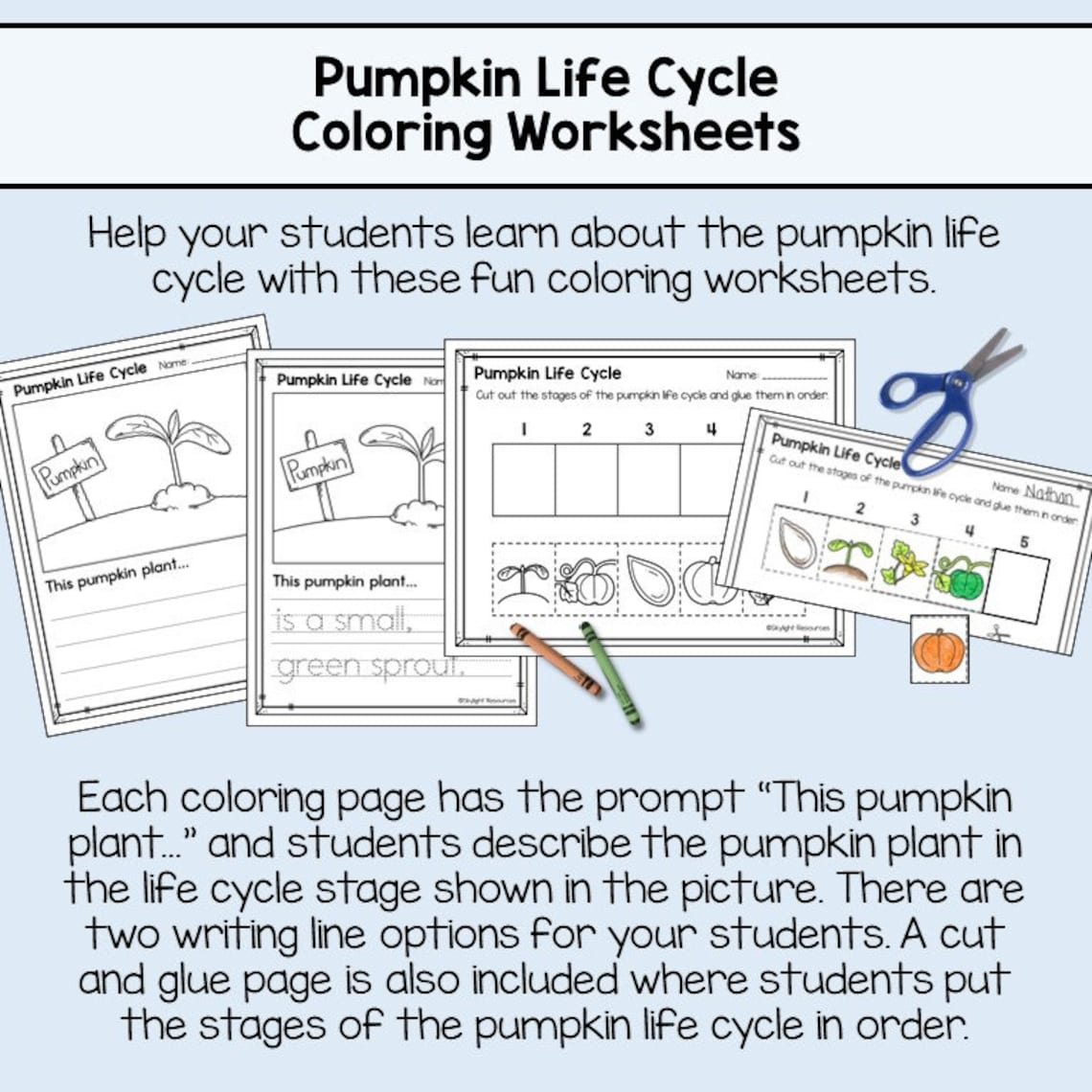 Life Cycle of a Pumpkin Coloring Worksheets Fun Printable Science ...