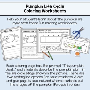 Life Cycle of a Pumpkin Coloring Worksheets Fun Printable Science ...