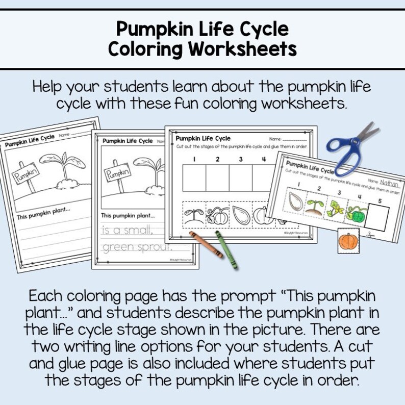 Life Cycle of a Pumpkin Coloring Worksheets Fun Printable Science ...