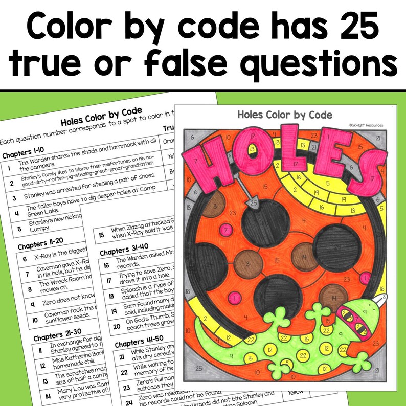 Holes Word Search and Color by Number Novel Reading Questions, Fun ...
