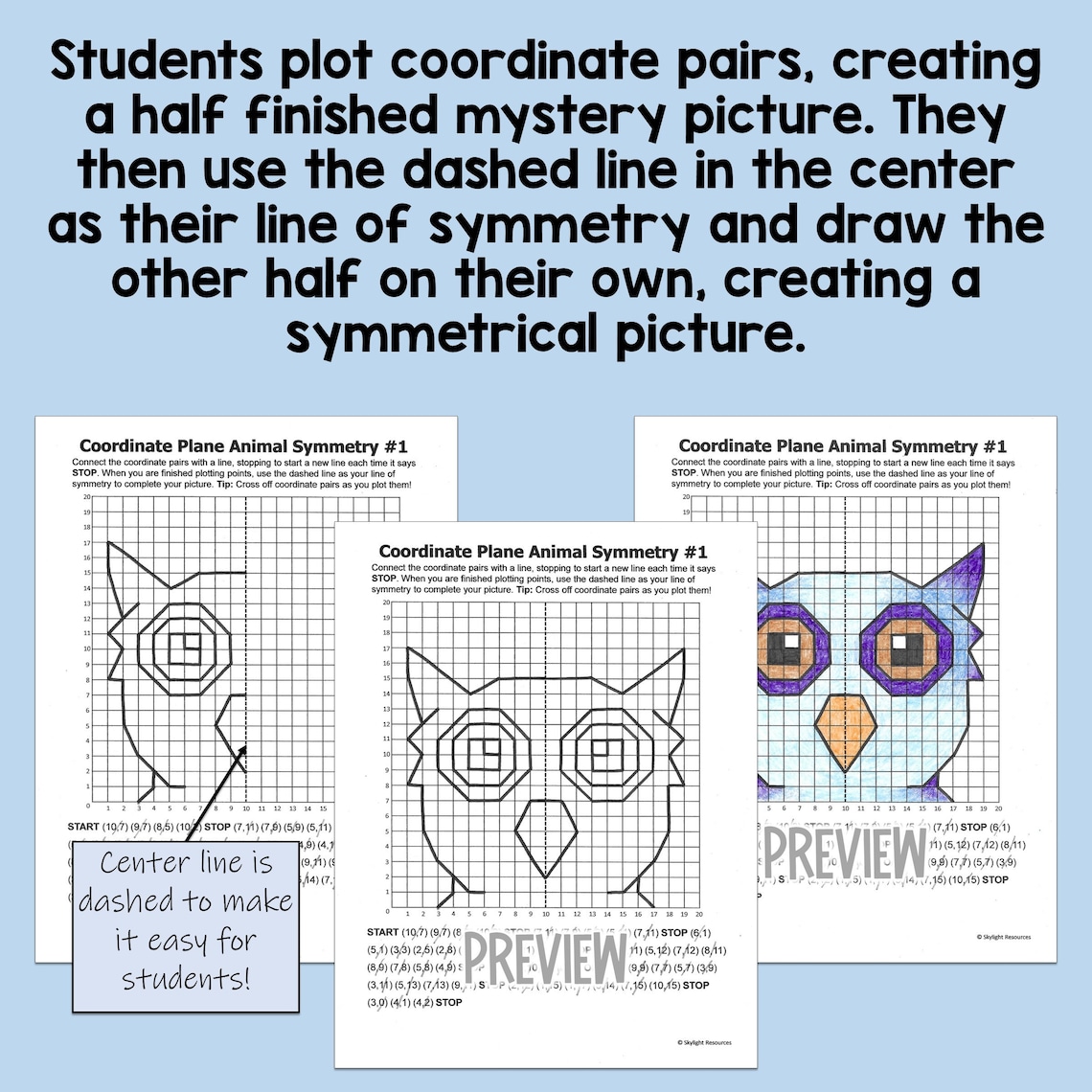 Animal Symmetry Coordinate Plane Mystery Picture Math Graphing Activity ...