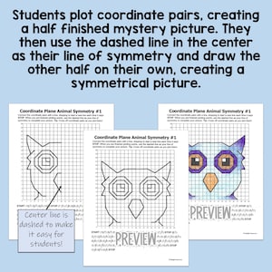 Animal Symmetry Coordinate Plane Mystery Picture Math Graphing Activity ...