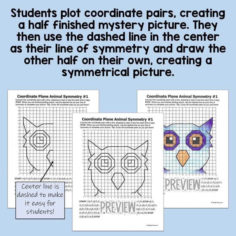 Animal Symmetry Coordinate Plane Mystery Picture Math Graphing Activity ...