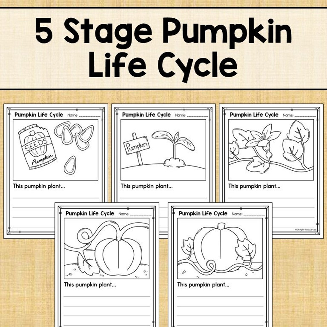 Life Cycle of a Pumpkin Coloring Worksheets Fun Printable Science ...
