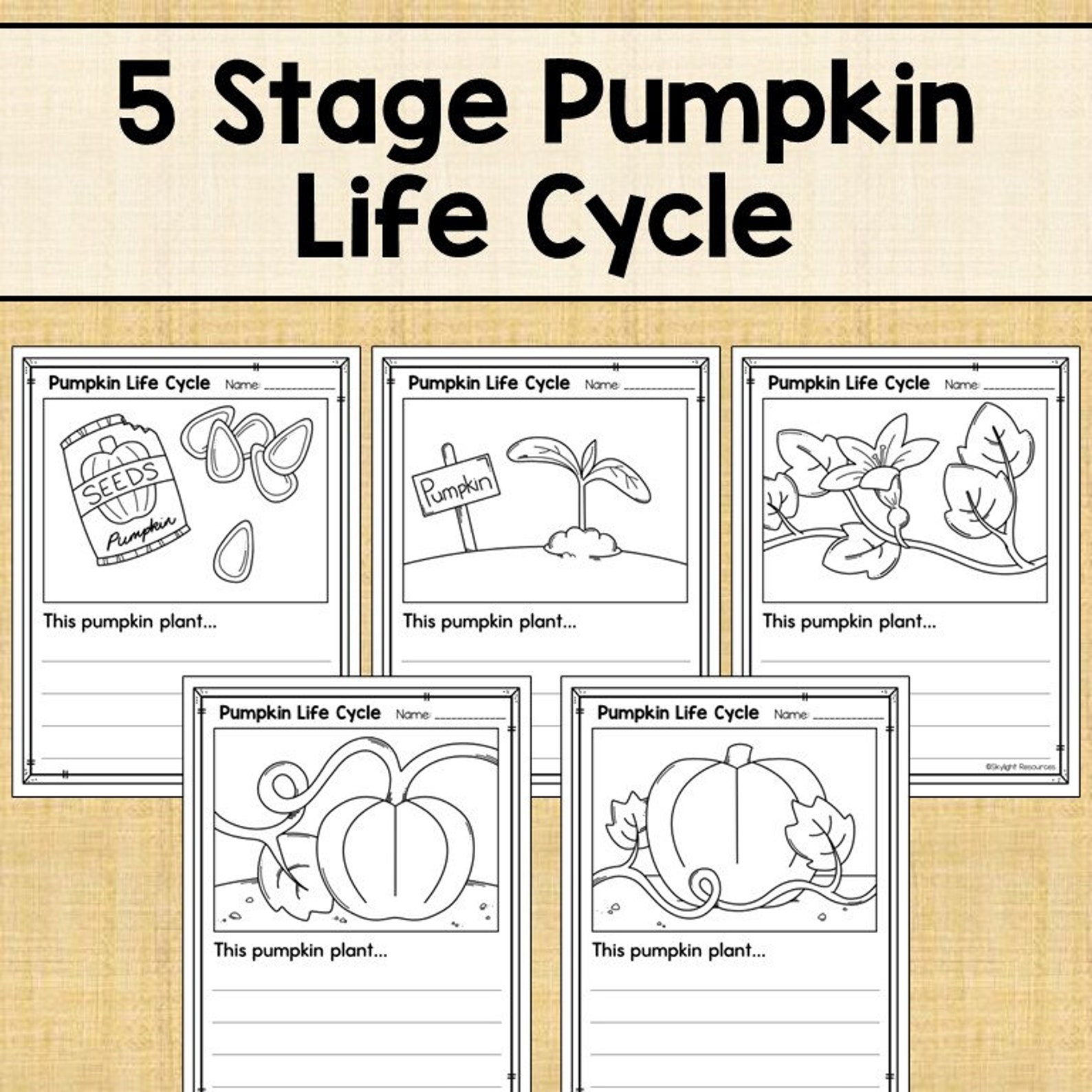 Life Cycle of a Pumpkin Coloring Worksheets Fun Printable Science ...