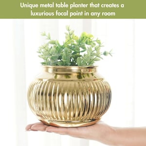 Golden Metal Matki Planter for Home Decor | Decorative Plant Pot for ...