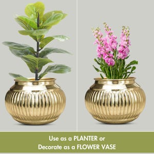 Golden Metal Matki Planter for Home Decor | Decorative Plant Pot for ...
