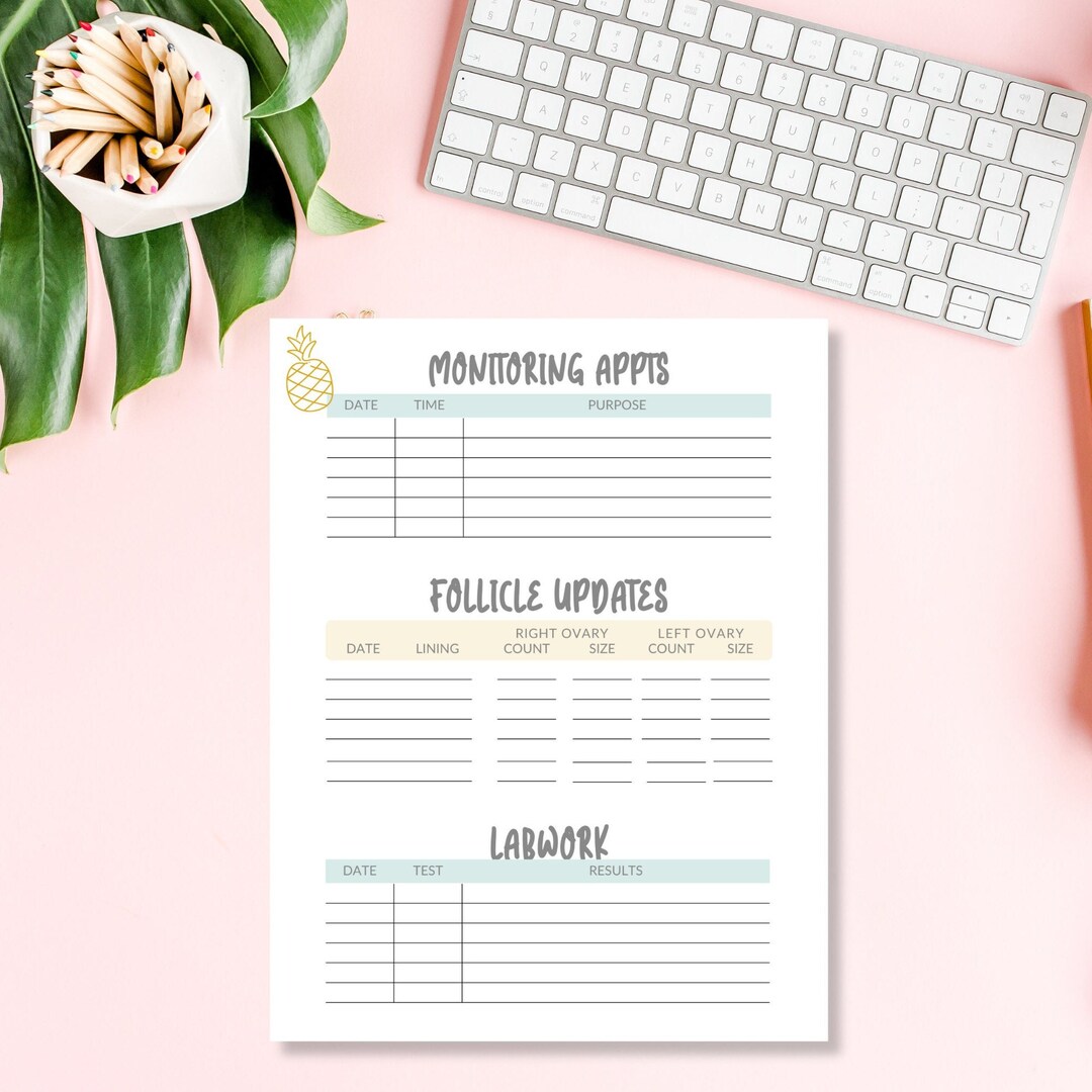 IVF Planner, IVF Organizer, IUI Planner, Infertility Gifts, Trying to ...