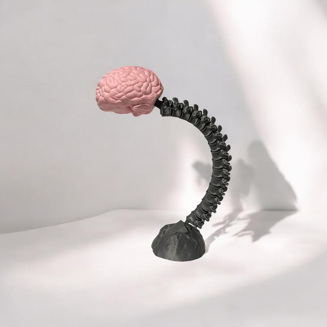 Articulated Brain Statue - Etsy