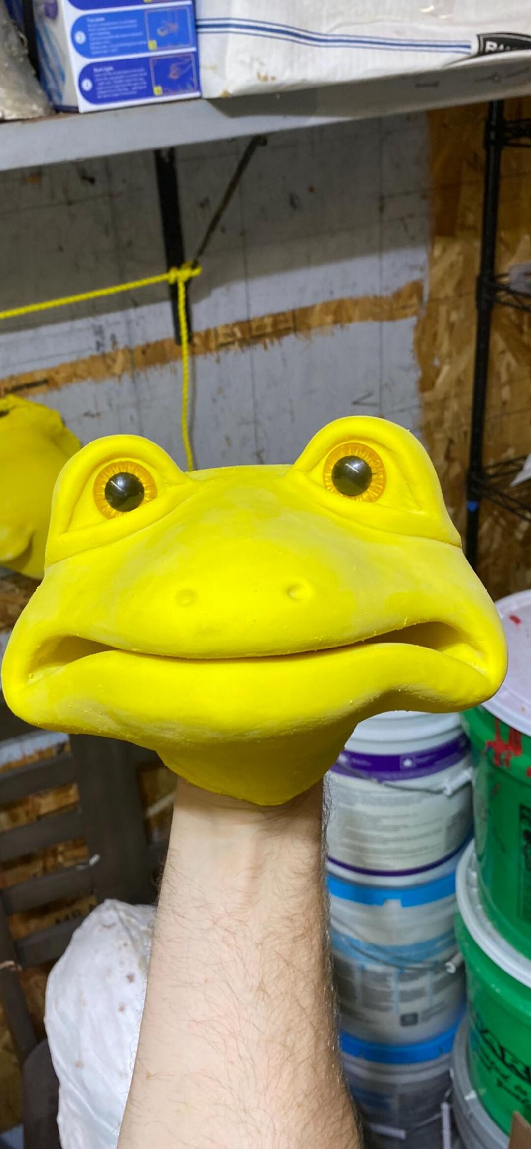 Professional Ventriloquist Puppet Head Frog/salamander - Etsy