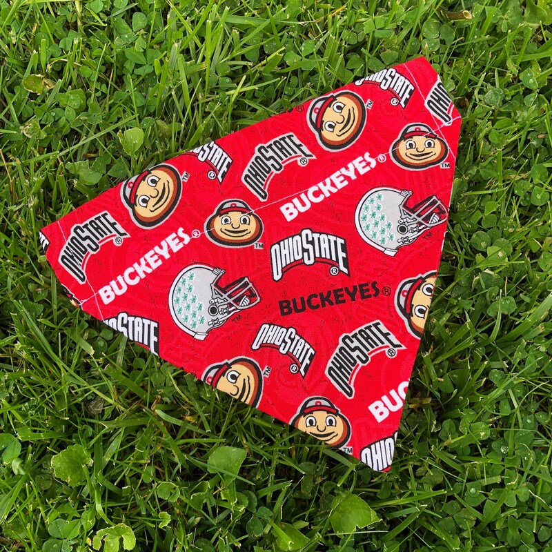 Ohio State Dog - Etsy