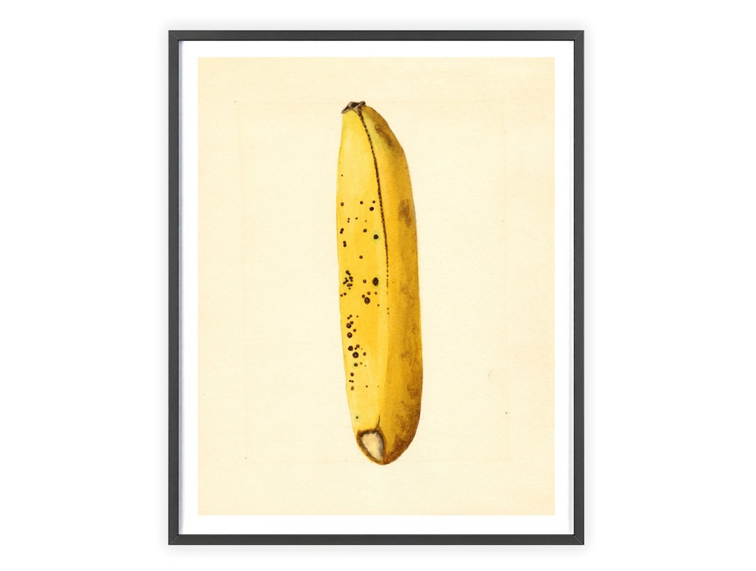 James Marion Shull - "musa 2" (ripe Banana) 1919 | Unframed Fine Art ...