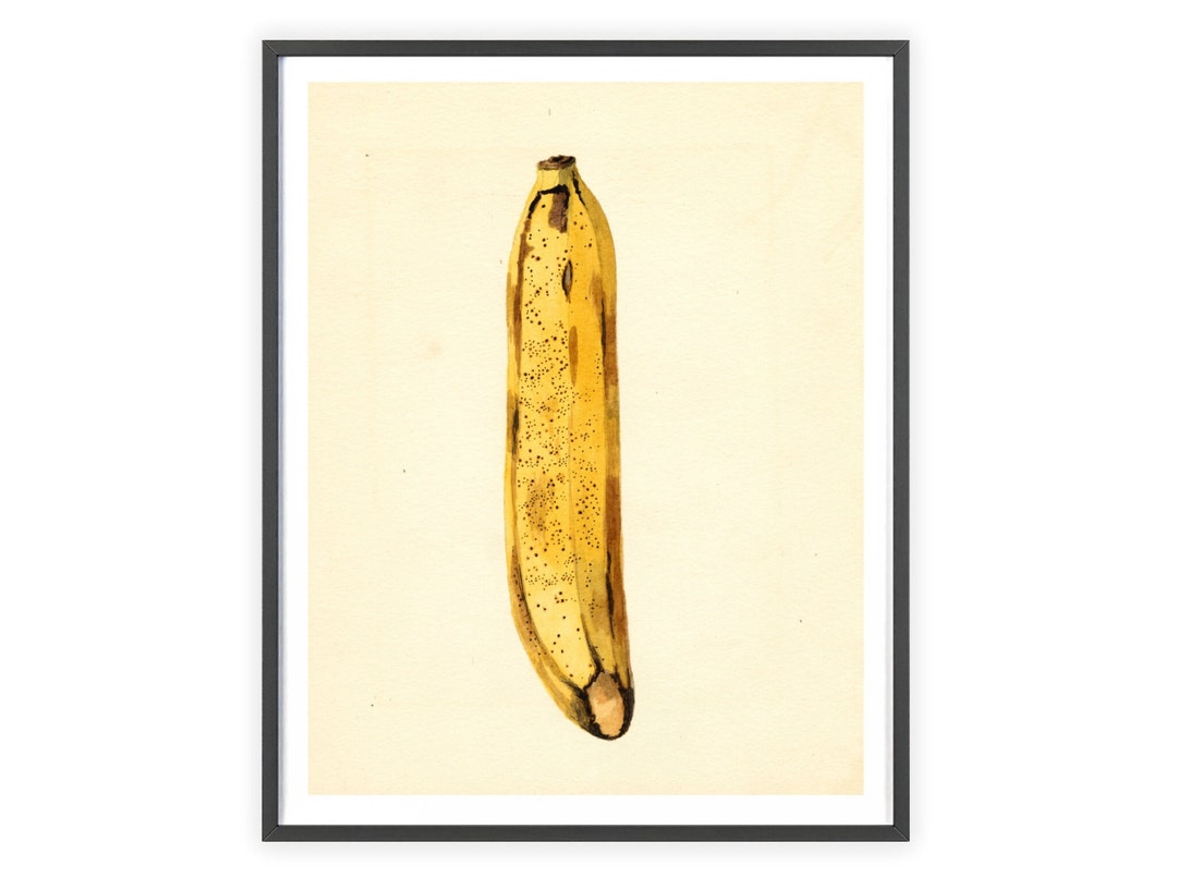 James Marion Shull - "musa" (ripe Banana) 1919 | Unframed Fine Art ...