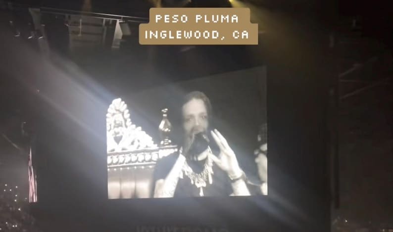 Peso Pluma Mask LA Concert 8.24.24 Inspired Blank Mesh Mask Balaclava ...