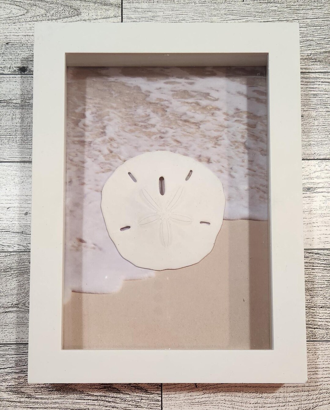 Sand Dollar Frame Coastal Decor Beach Decor Sand Dollar Decor Sand ...
