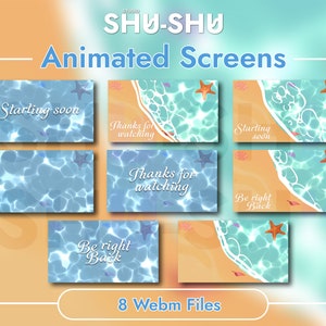 Summer Animated Stream Overlay Package - Etsy