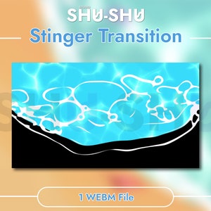 Summer Animated Stream Overlay Package - Etsy