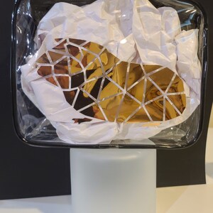 Guinea Pig Geometric Makeup Bag - Etsy