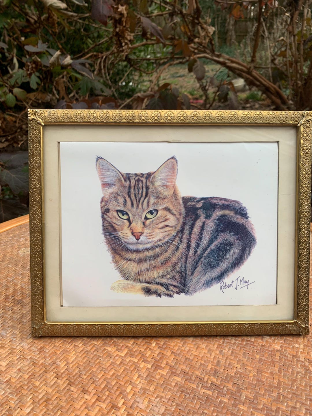 Vtg Tabby Cat Gold Flower Picture Frame Print by Robert J May Vintage ...