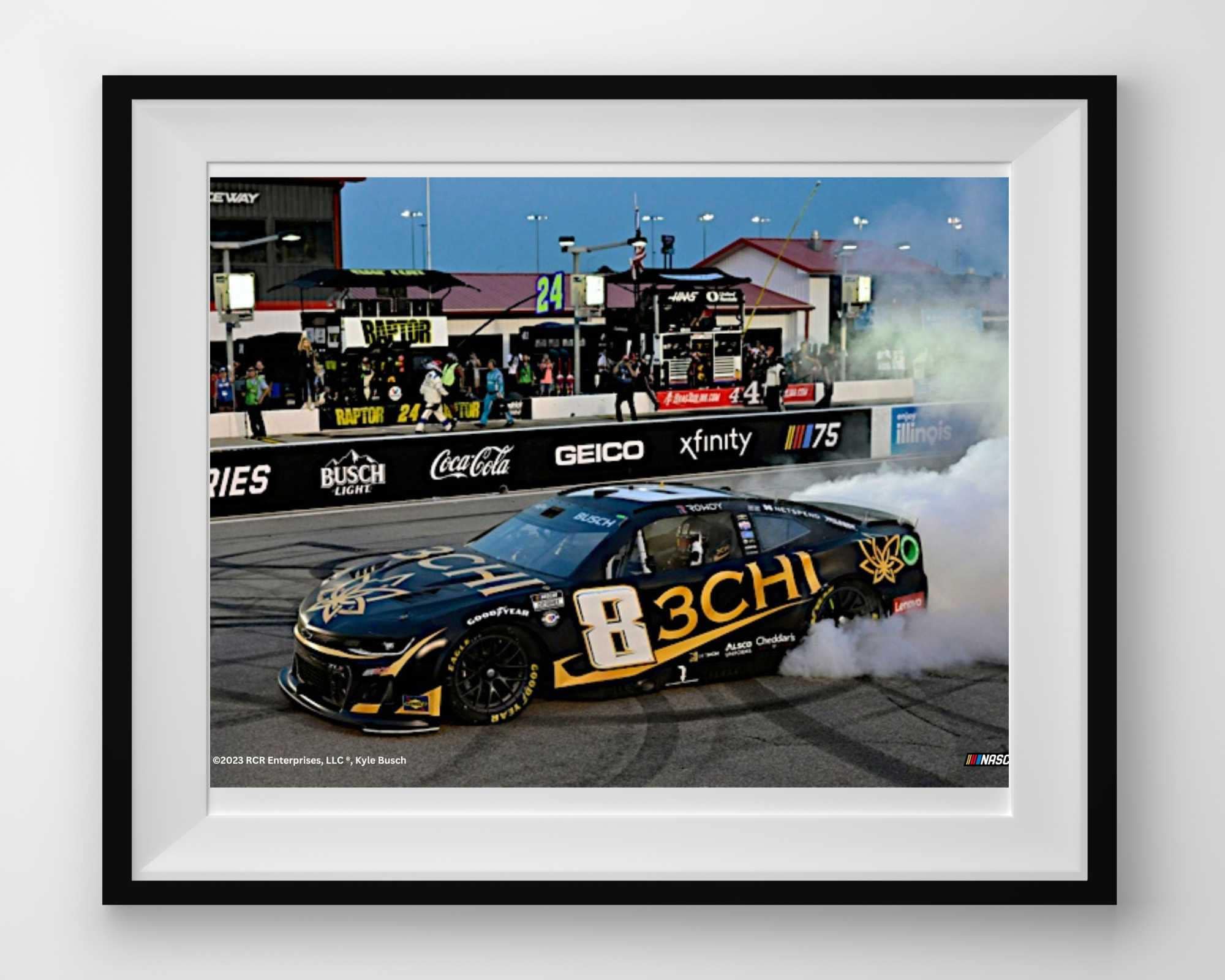 Dogecoin Nascar Design