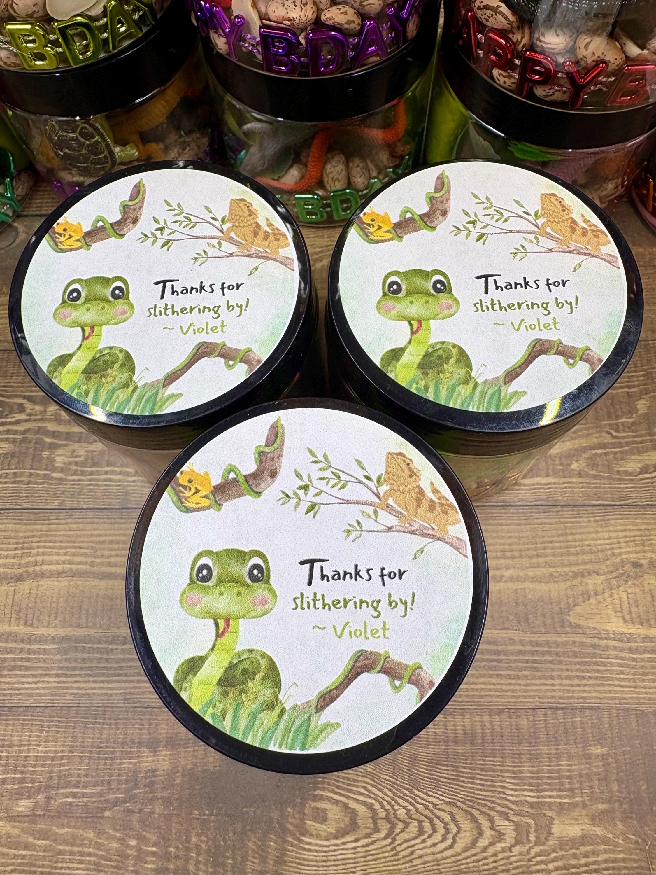 REPTILE Playdough Favors | Play Dough Jar | Birthday Party Favor | Kids ...