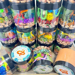 REPTILE Playdough Favors | Play Dough Jar | Birthday Party Favor | Kids ...
