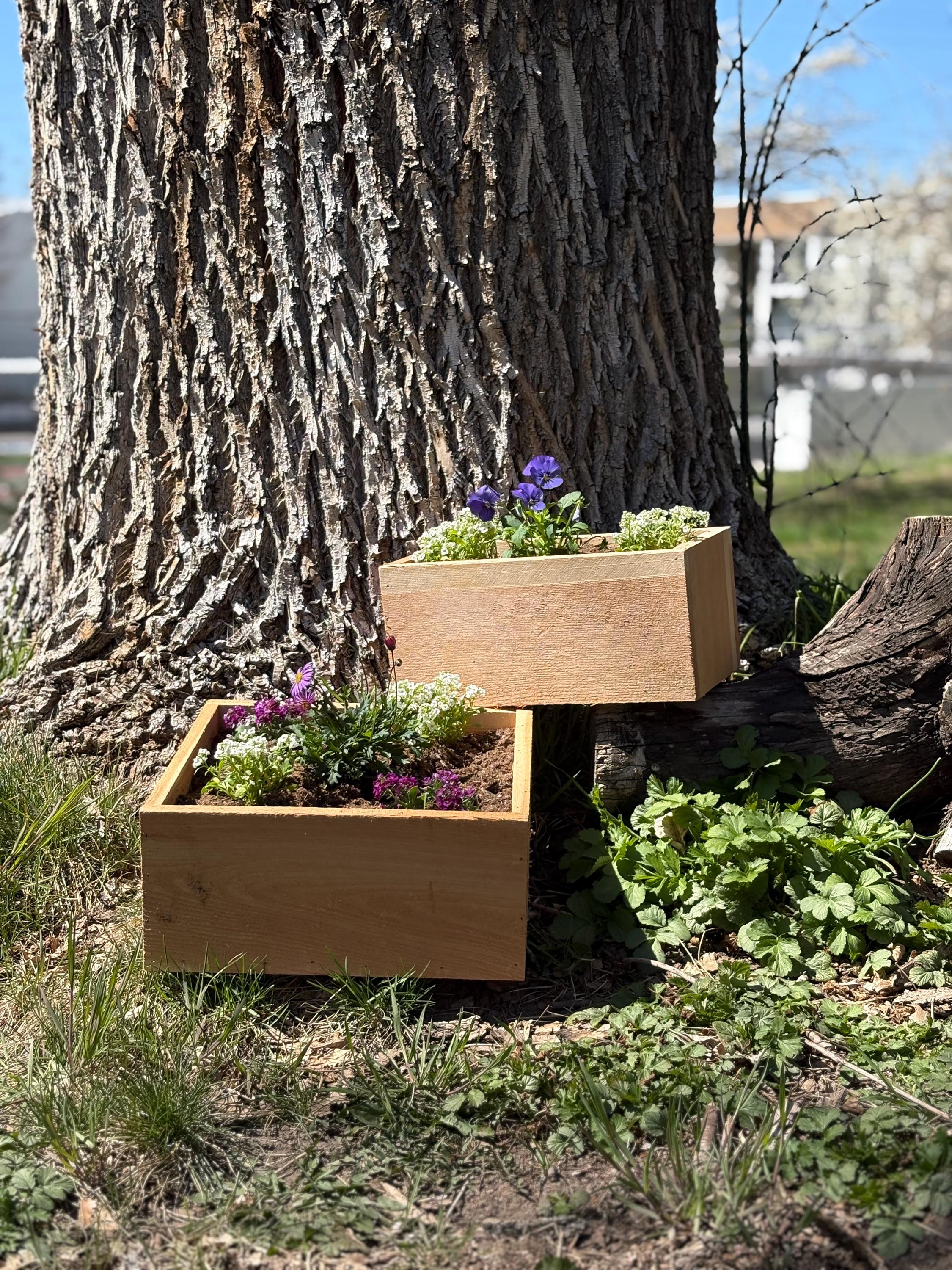 Rectangular Cedar Planter Box - Etsy
