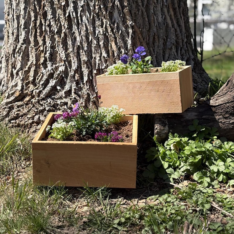 Square Cedar Planter Box - Etsy