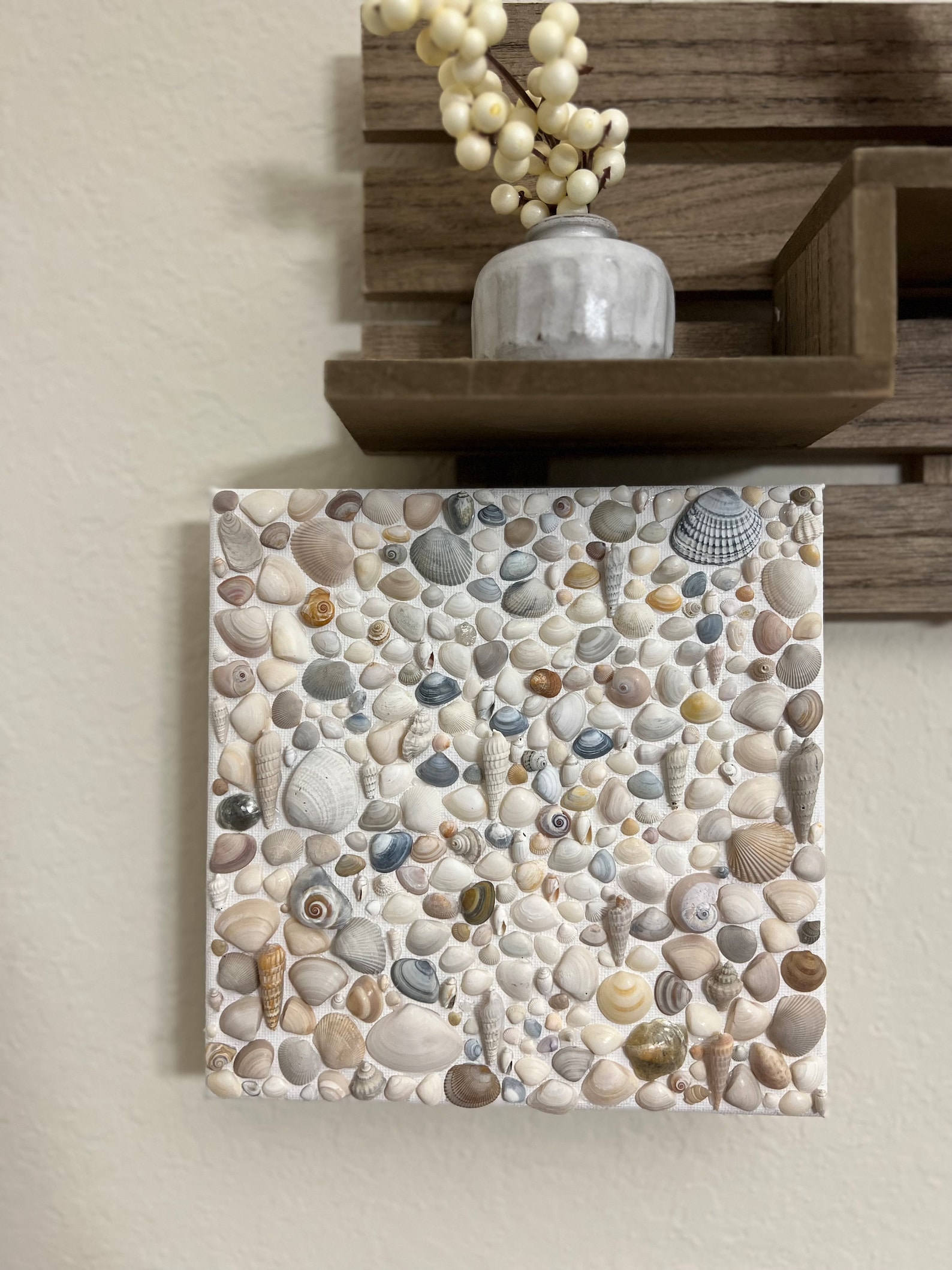 SEASHELL CANVAS - Etsy